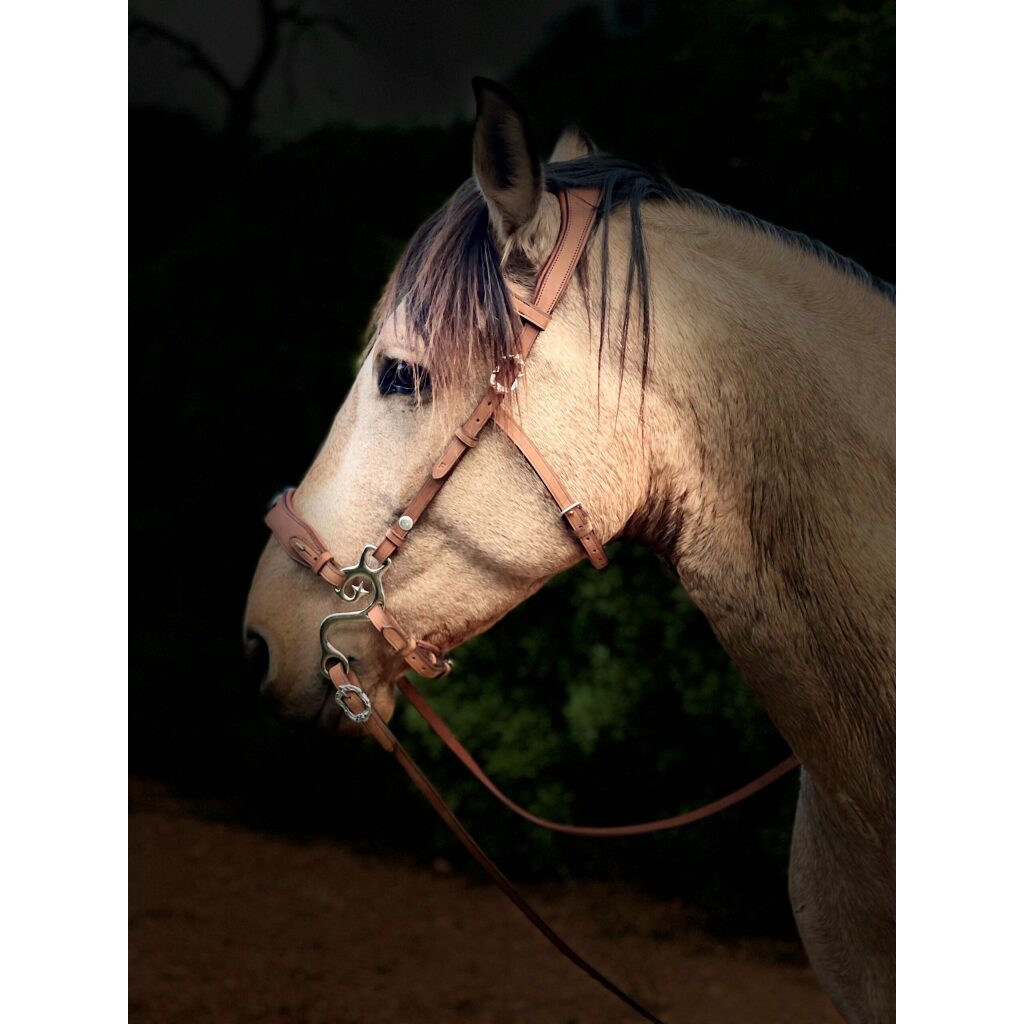 Hidalgo Hackamore Size Full Hug Your Horse